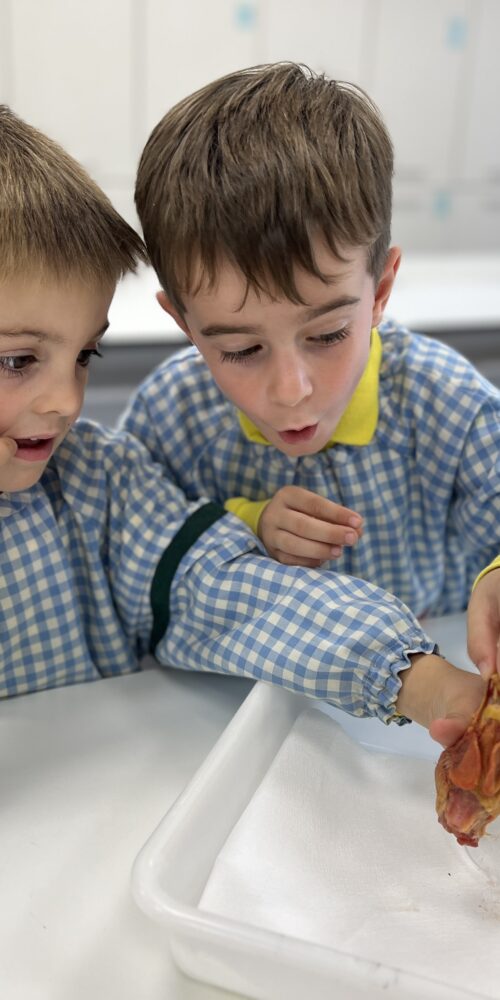Virtual School - Pare Manyanet-Barcelona